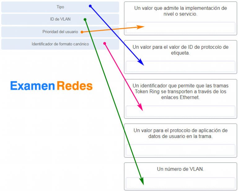Una el campo de la etiqueta de VLAN IEEE 802.1Q estándar con la ... Una el campo de la etiqueta de VLAN IEEE 802.1Q estándar con la ...