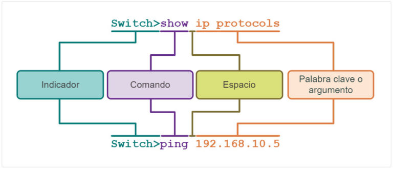 CCNA 1 Versión 7: Módulo 2 - Configuración básica de switches y terminales