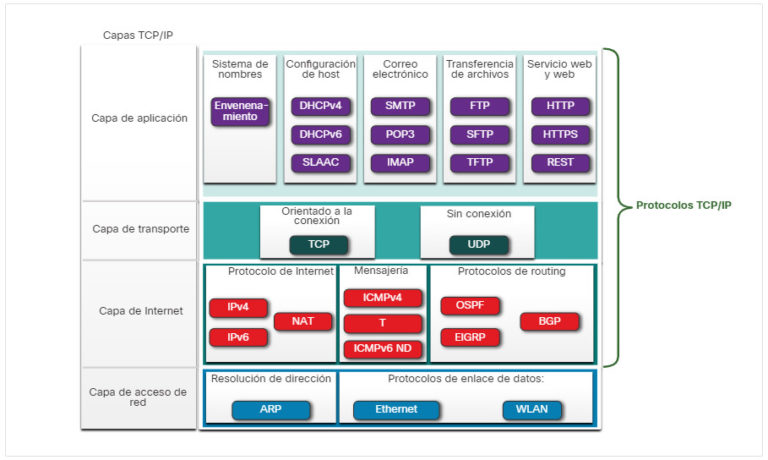 CCNA 1 Versión 7: Módulo 3 - Protocolos y modelos