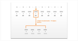 CCNA 1 Versión 7: Módulo 5 - Las redes en la actualidad