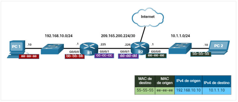 CCNA 1 Versión 7: Módulos 9 - Resolución de dirección