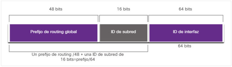CCNA 1 Versión 7: Módulo 12 - Asignación de direcciones IPv6