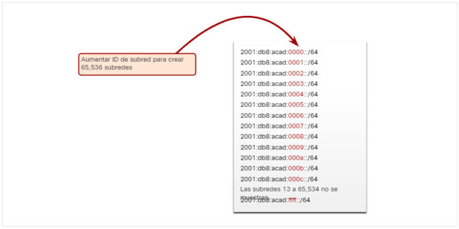 CCNA 1 Versión 7: Módulo 12 - Asignación de direcciones IPv6
