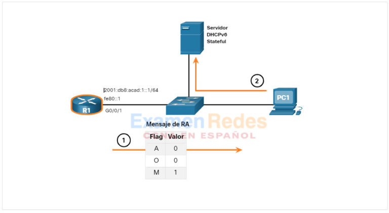 CCNA 2 Versión 7: Módulo 8 - SLAAC y DHCPv6