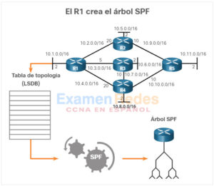 CCNA 3 Versión 7: Módulo 1 - Conceptos de OSPFv2 de área única