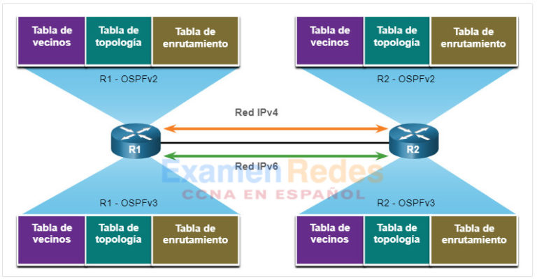 CCNA 3 Versión 7: Módulo 1 - Conceptos de OSPFv2 de área única