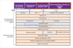 CCNA 3 Versión 7: Módulo 1 - Conceptos de OSPFv2 de área única