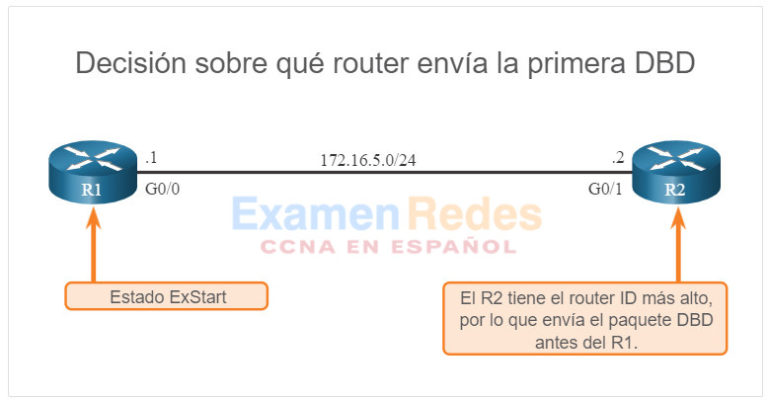 CCNA 3 Versión 7: Módulo 1 - Conceptos de OSPFv2 de área única