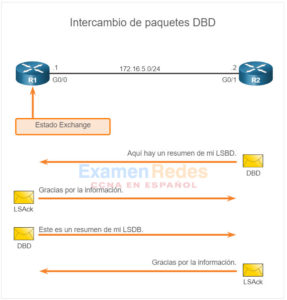 CCNA 3 Versión 7: Módulo 1 - Conceptos de OSPFv2 de área única