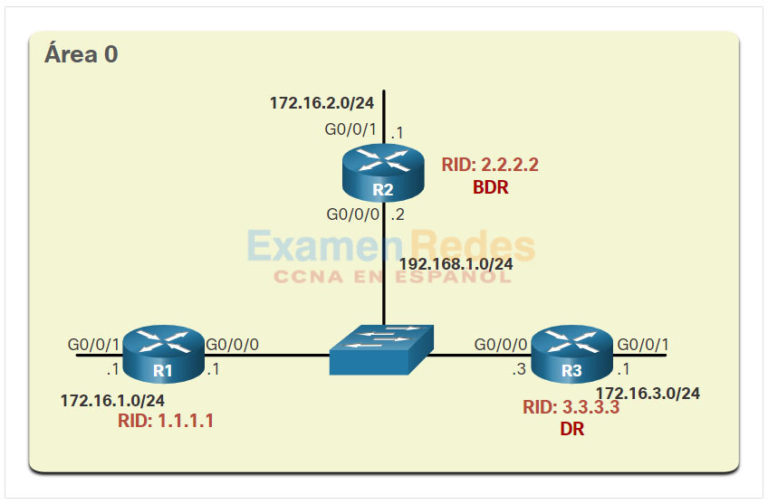 CCNA 3 Versión 7: Módulo 2 - Configuración de OSPFv2 de área única