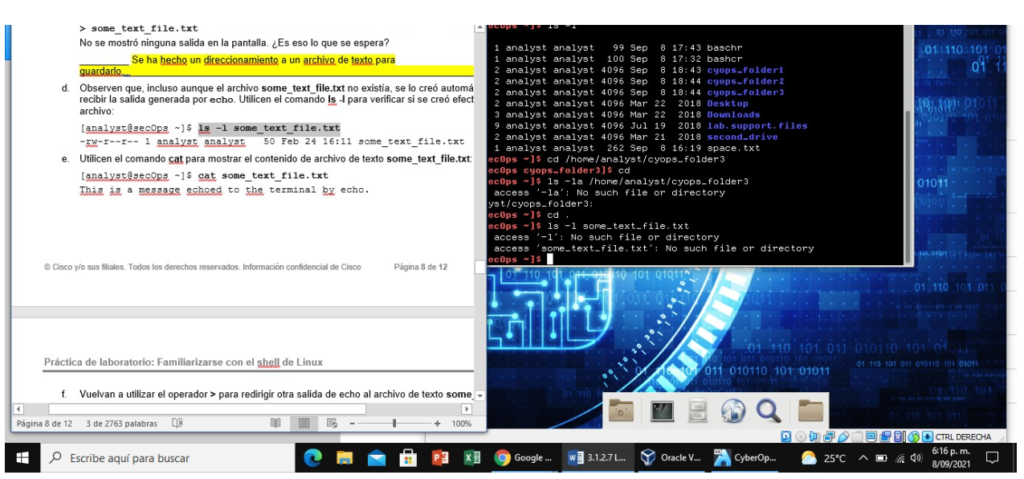 4.2.7 Práctica de laboratorio: Familiarizarse con el Shell de Linux
