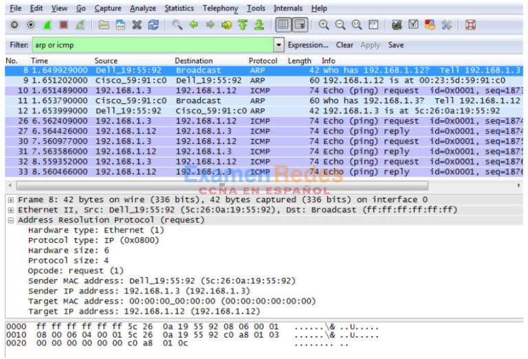 5.2.1.8 Práctica de laboratorio: Observación del protocolo ARP mediante la CLI de Windows, la ...