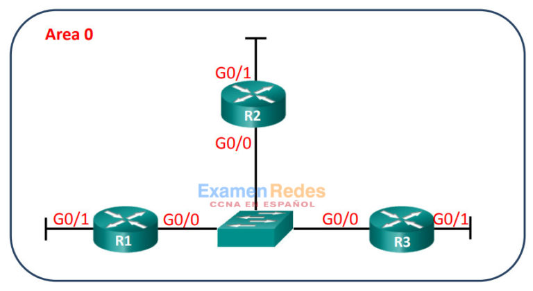 5.3.1.1 Dominio de la resolución de problemas de OSPF Respuestas