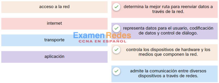 Conceptos básicos de redes Módulos 5 - 7 Examen de punto de control