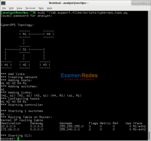 4.1.2.10 Práctica de laboratorio: Introducción a Wireshark