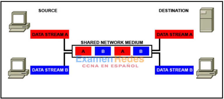ENetwork Capitulo 2 Respuestas - CCNA 1 Exploration v4.0