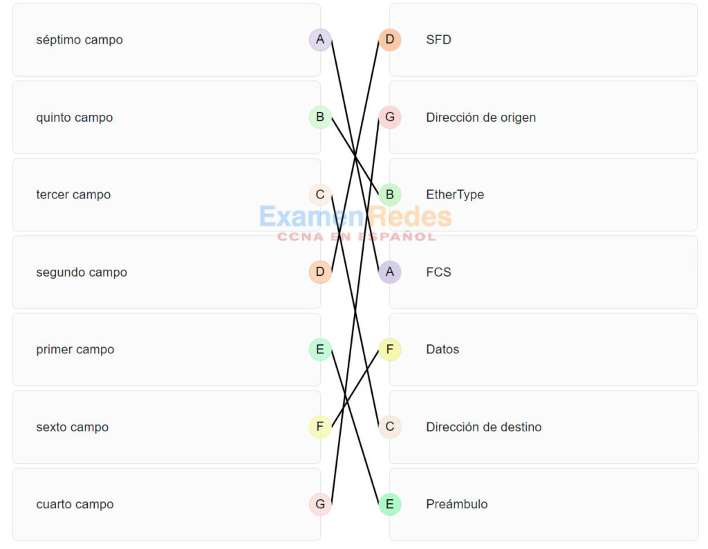 5.8 Examen del módulo - Módulo 5 DevNet Associate respuestas