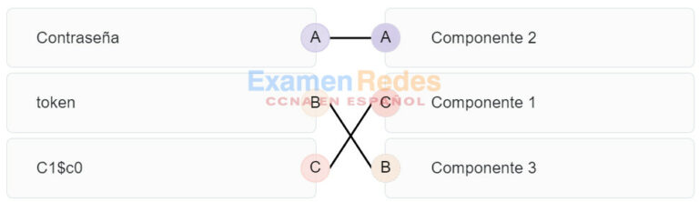 Examen final del curso - DevNet Associate respuestas